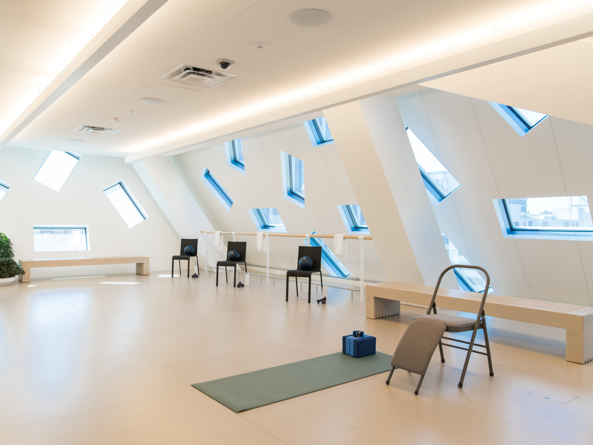 Mindful Aging with Mitra Manesh – Wallis Annenberg GenSpace